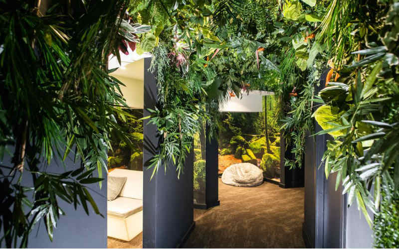 Social Chain unveils 'out of this world' office expansion